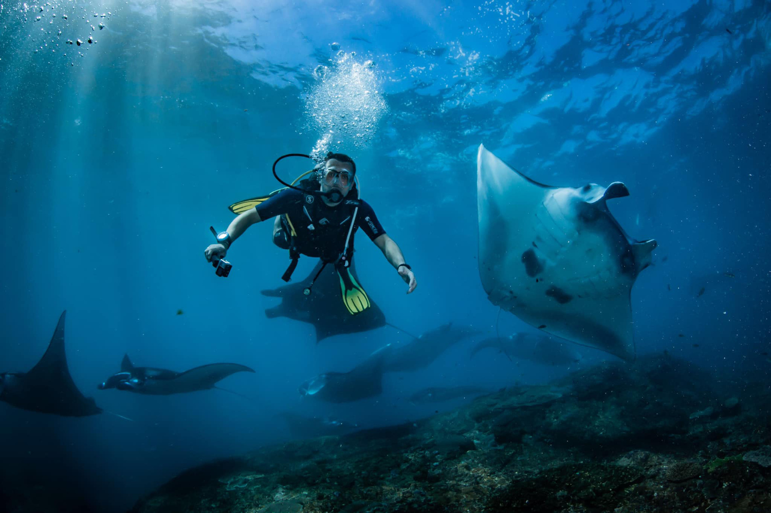 Diving In Indonesia With The Majestic Manta Rays