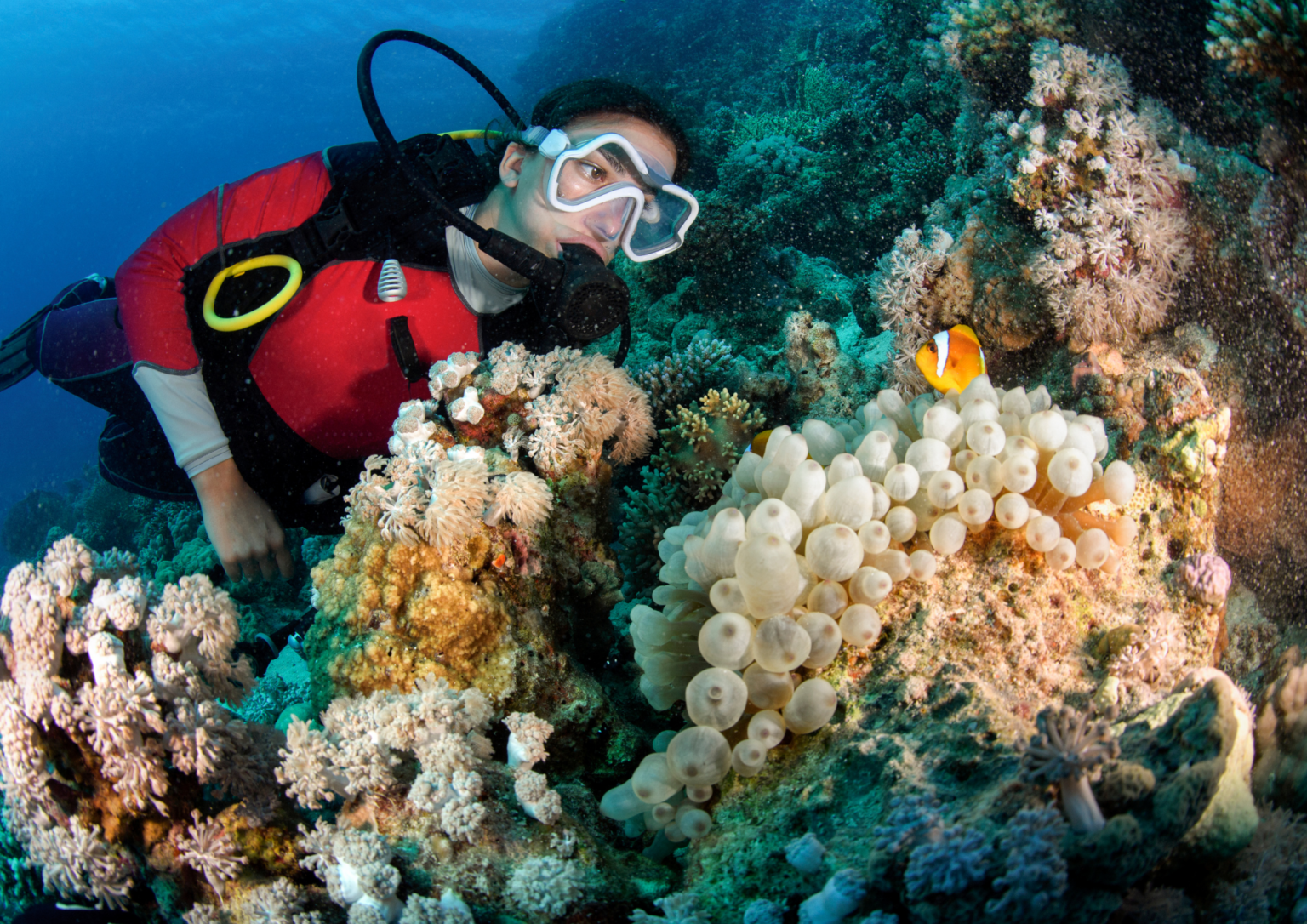 The Ultimate Guide To Diving Course In Bali | Explore Underwater Wonders